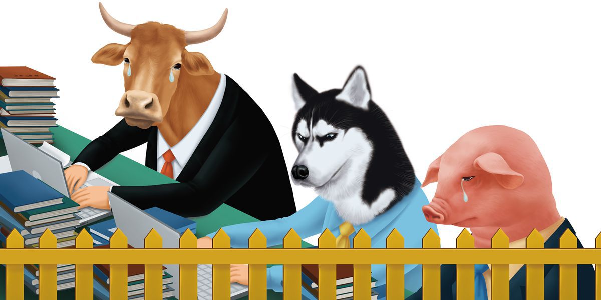 Cattle Class | The World of Chinese