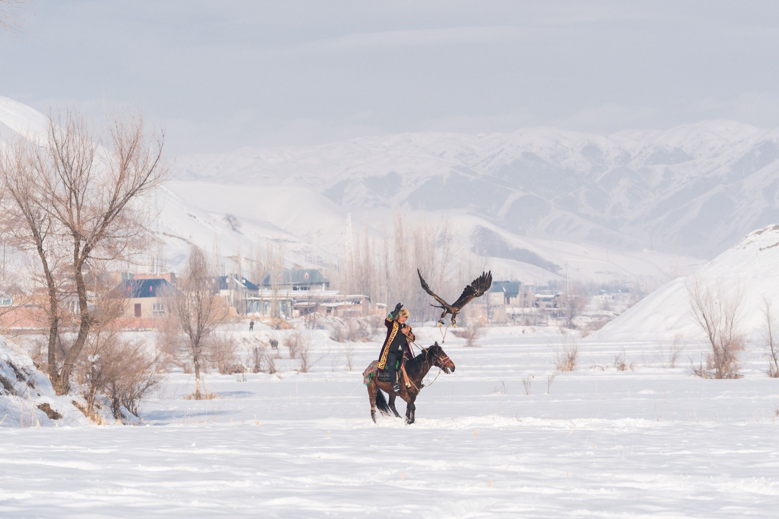 The Last Kazakh Falconers in the Altai Mountains | The World of Chinese